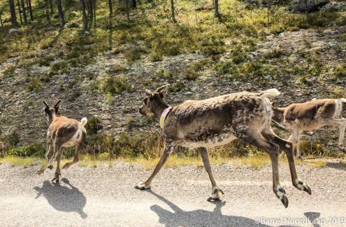 Foto's » The Barrel Challenge