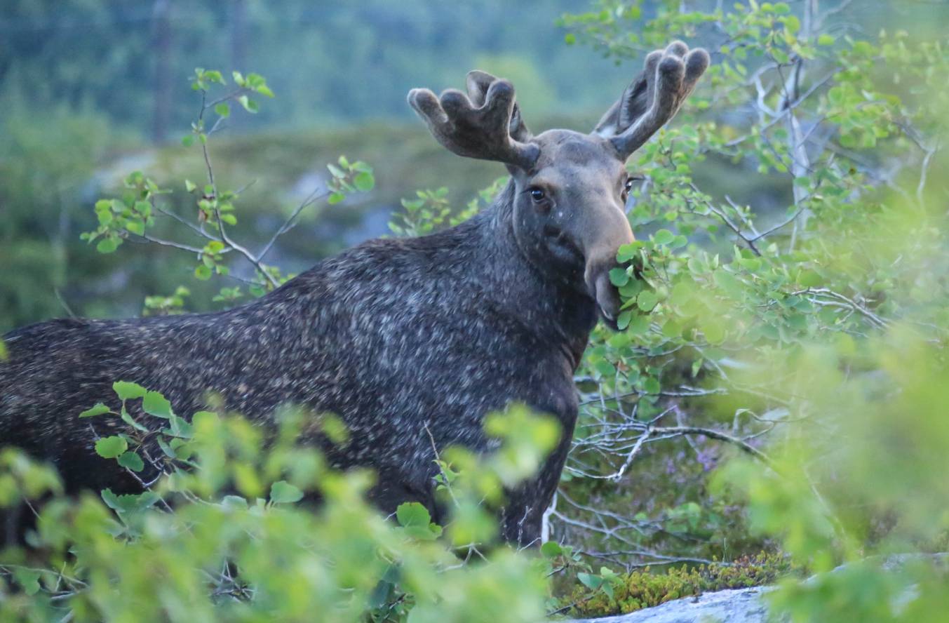 Foto's » The Barrel Challenge